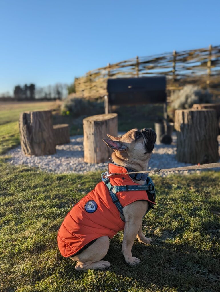 Wold Escapes Glamping Cabins, all your questions answered